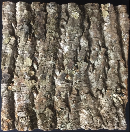Poplar Bark Shingles - Decorating with Fabric