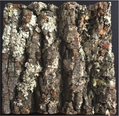 Poplar Bark Shingles - Decorating with Fabric